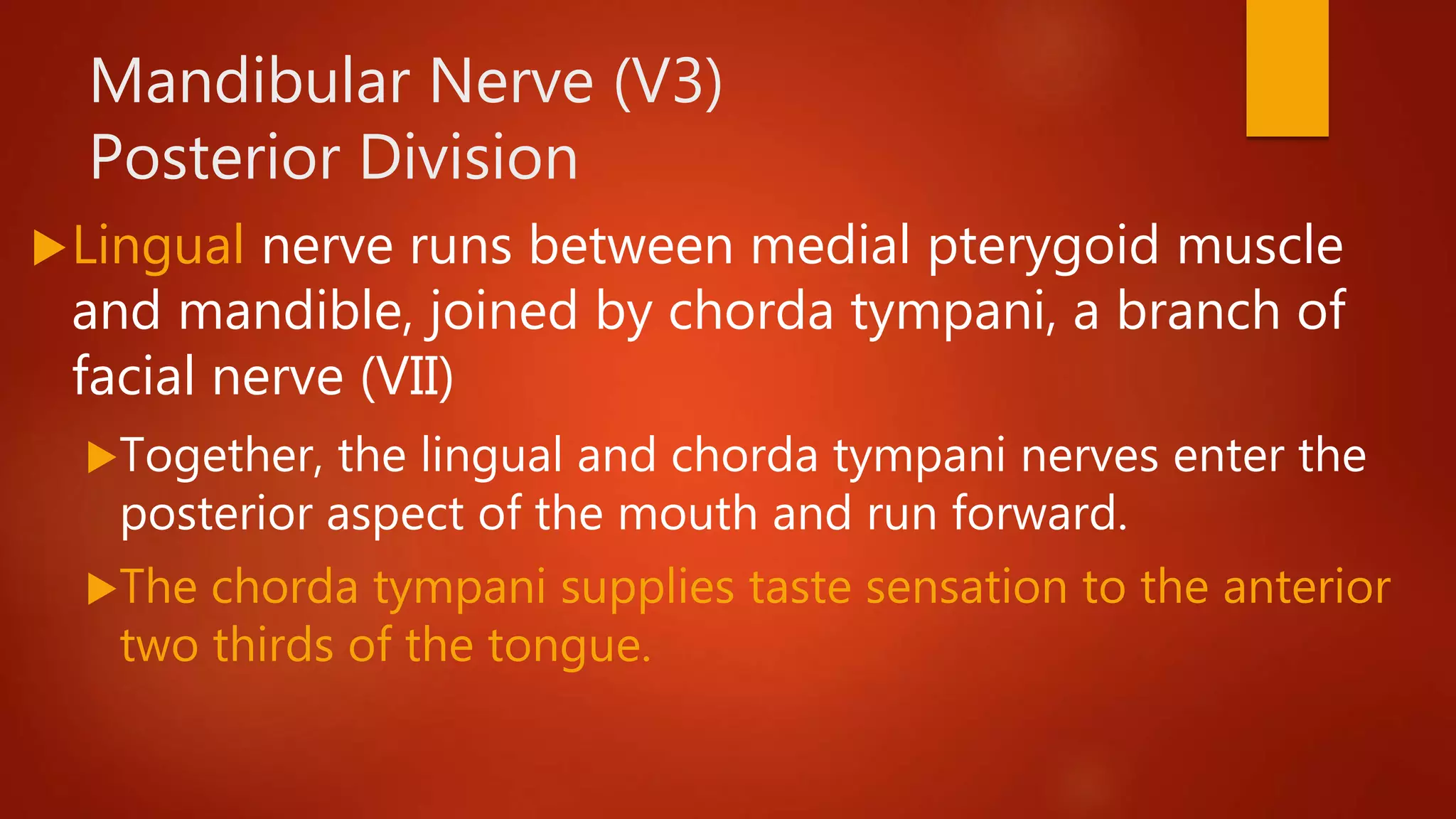 Nerves of the Head and Neck: Intro, CNS, PNS, Cranial Nerves ...