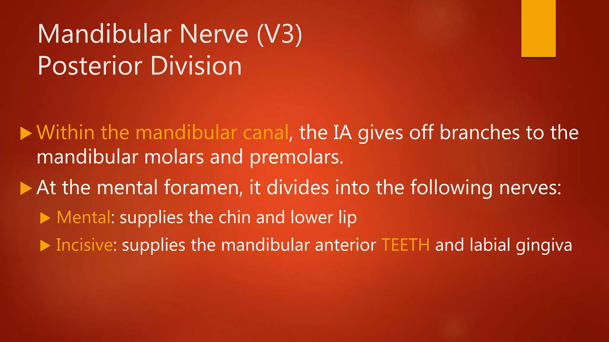 Nerves of the Head and Neck: Intro, CNS, PNS, Cranial Nerves ...