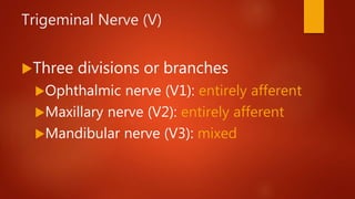 Nerves of the Head and Neck: Intro, CNS, PNS, Cranial Nerves ...