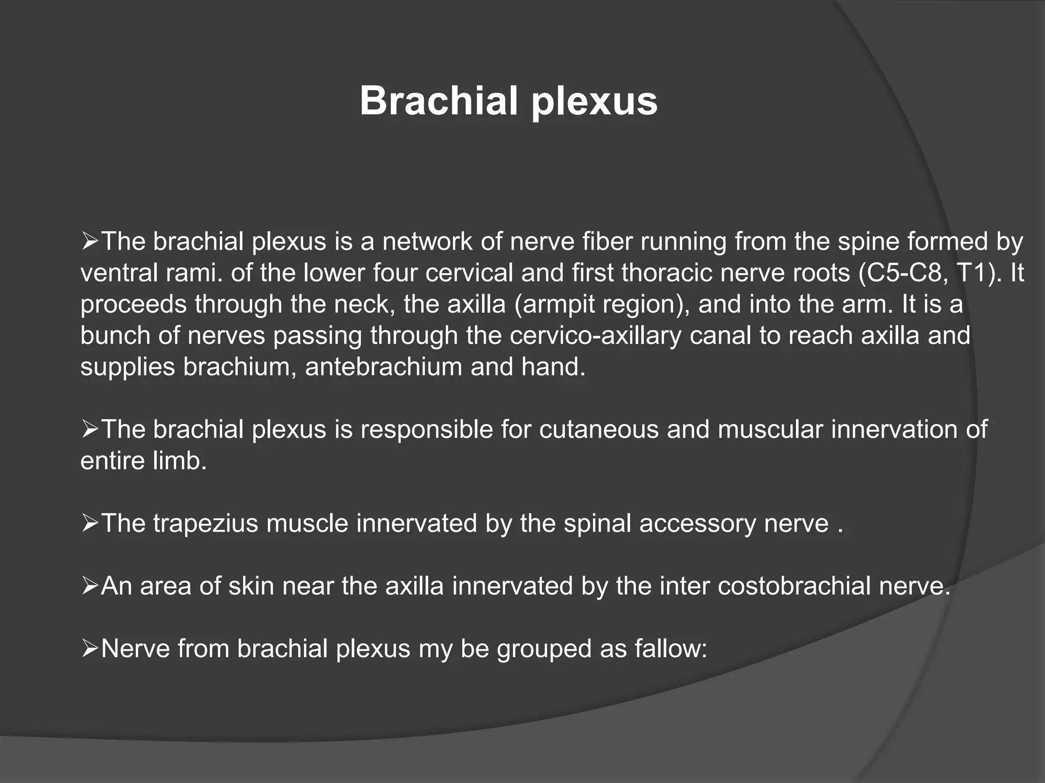 Nerves of thoracic limb | PPTX