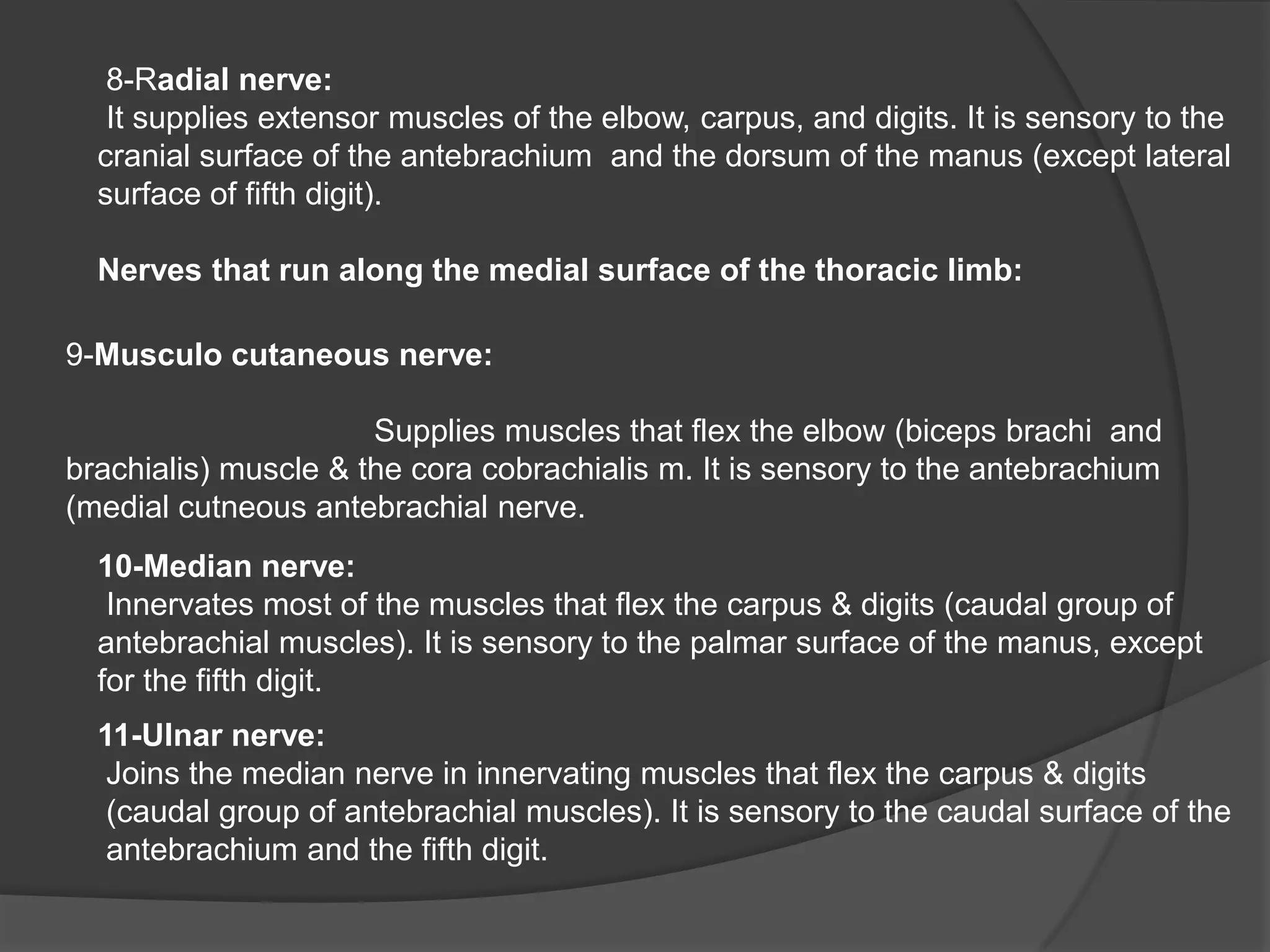 Nerves of thoracic limb | PPTX