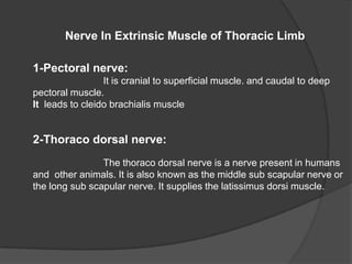 Nerves of thoracic limb | PPTX