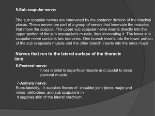 Nerves of thoracic limb | PPTX