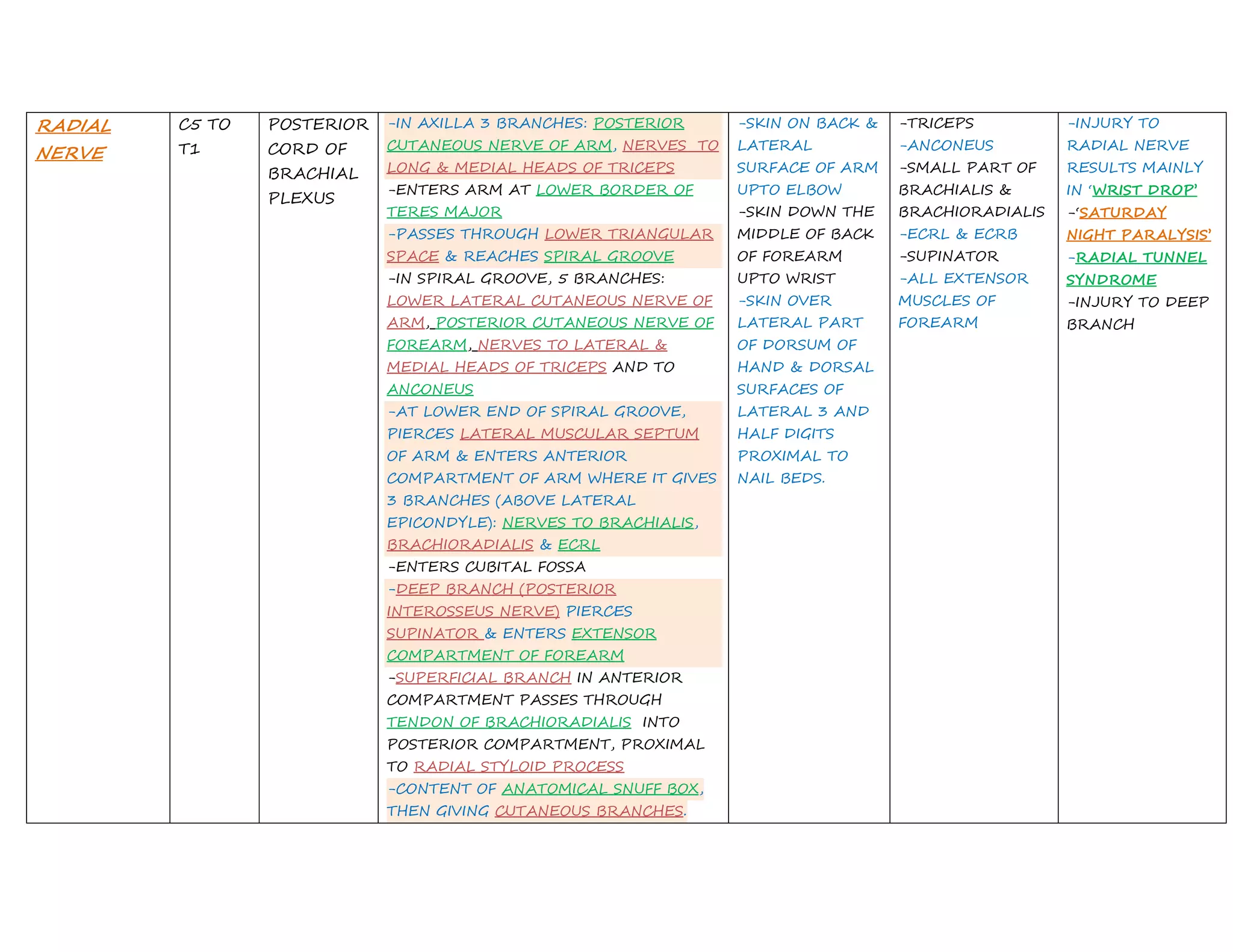 Nerves of upper limb | PDF