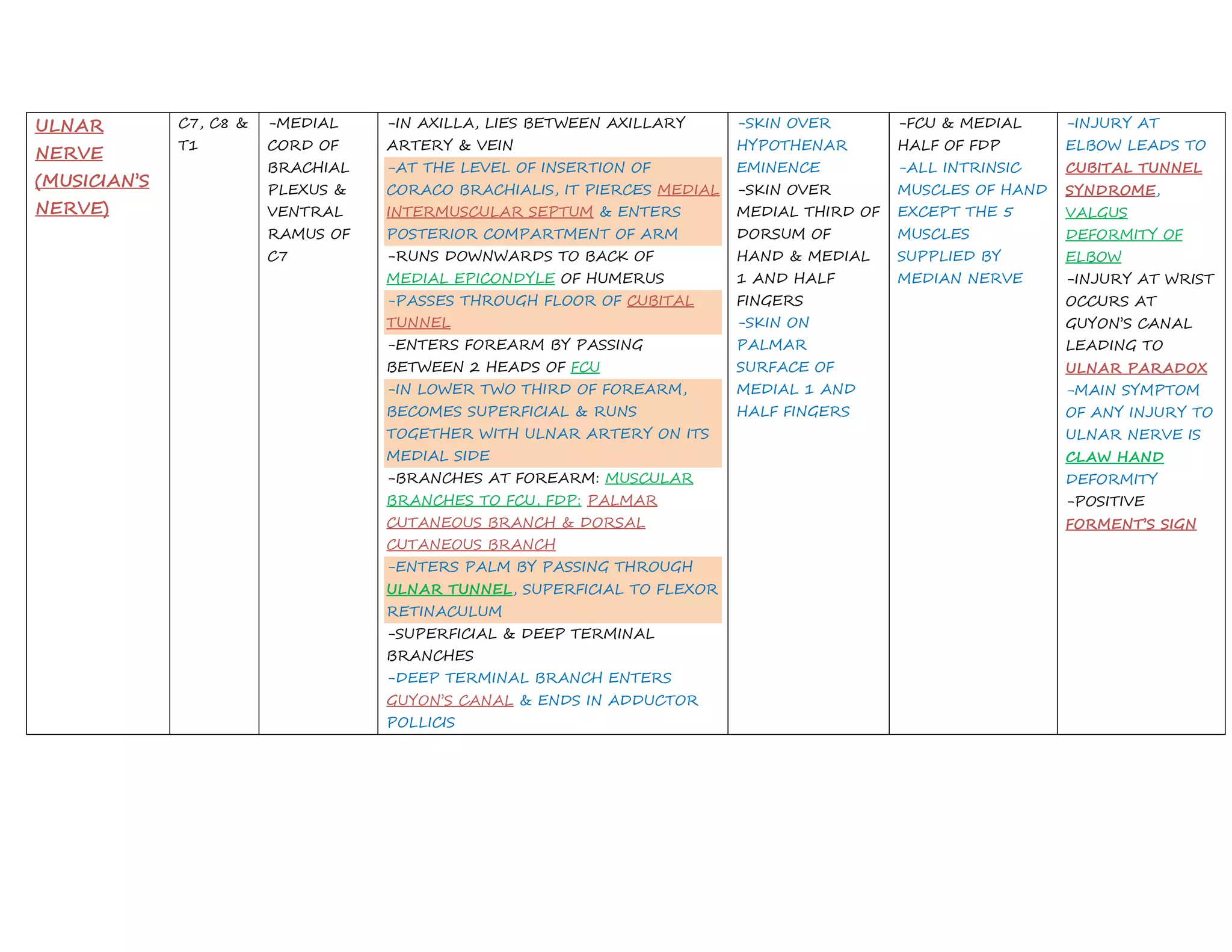 Nerves of upper limb | PDF