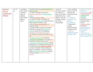 Nerves of upper limb | PDF
