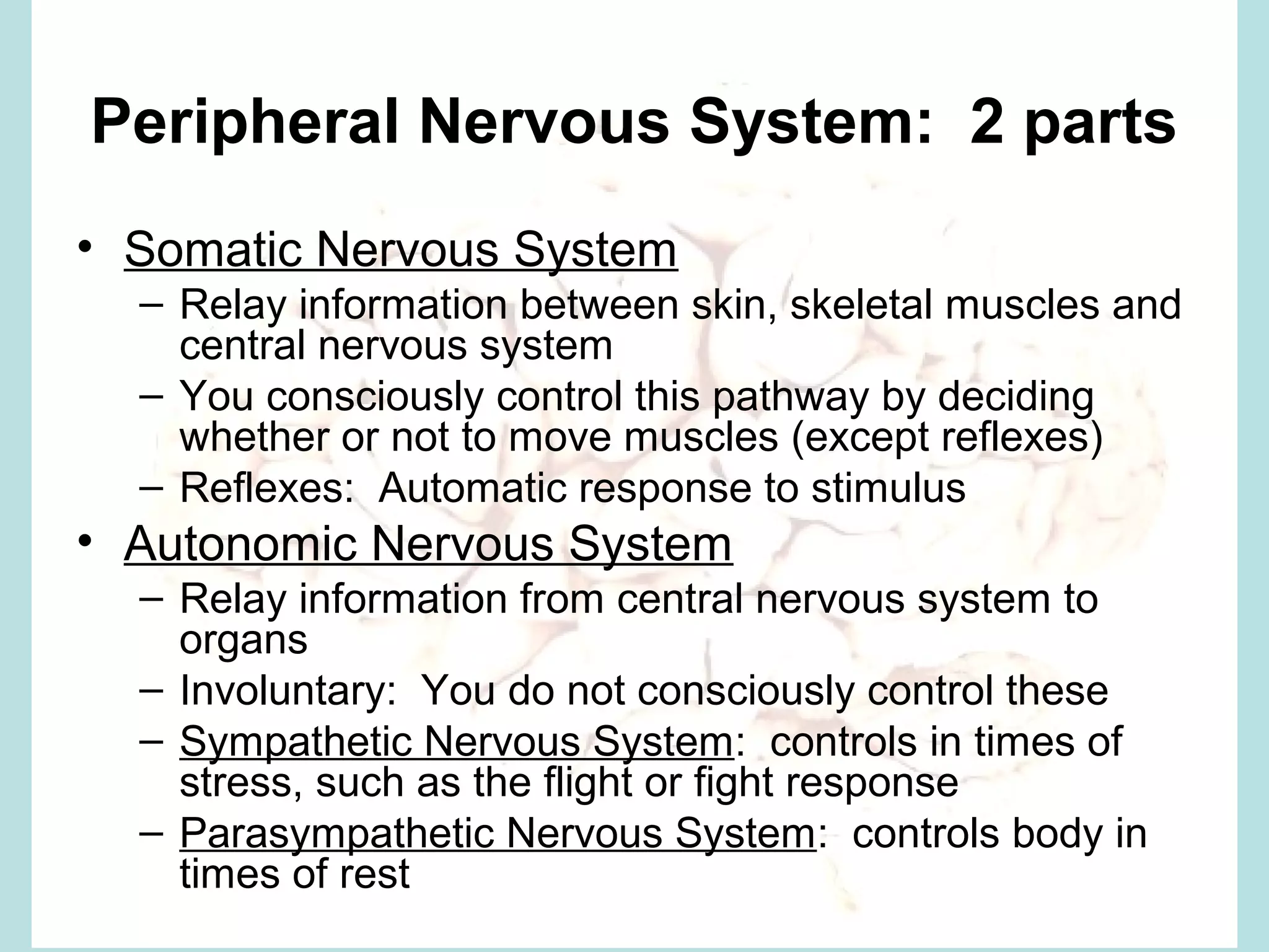 Nerves system(CNS, PNS) | PPT