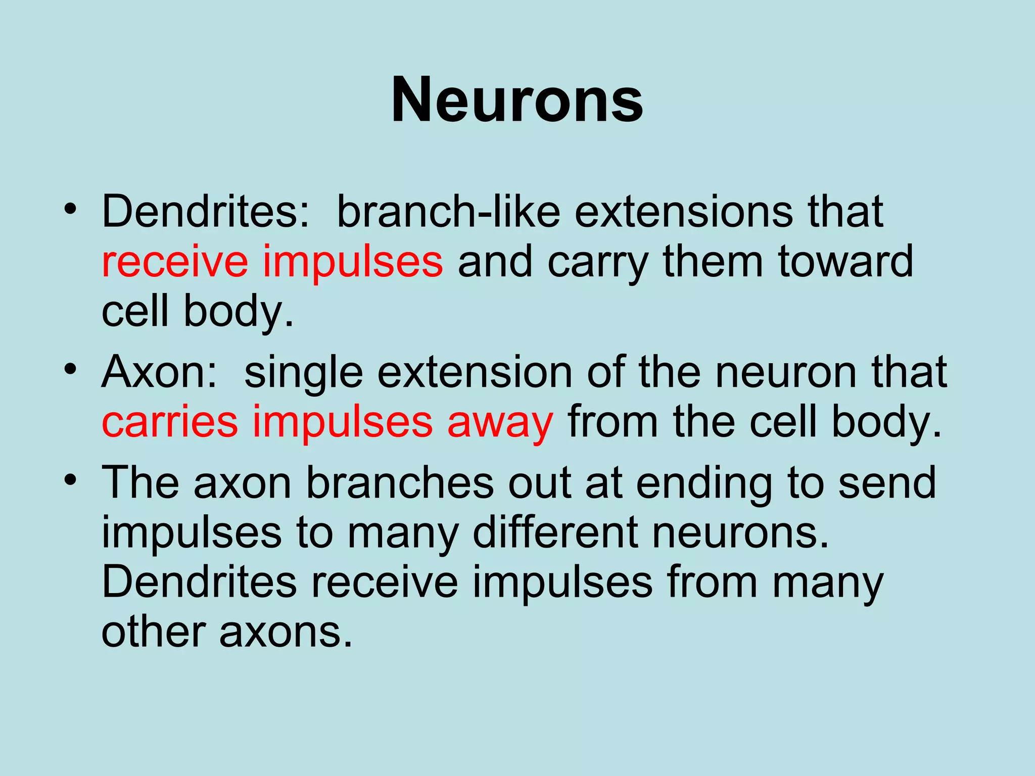 Nerves system(CNS, PNS) | PPT