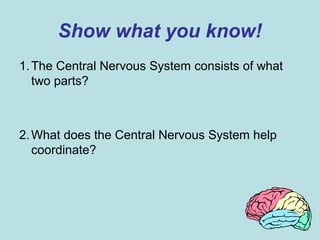 Nerves system(CNS, PNS) | PPT