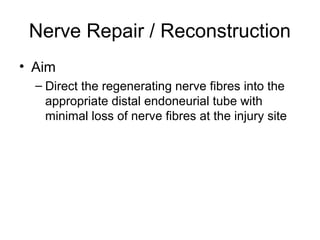 Nerve substitutes and advances in nerve reconstruction | PPT