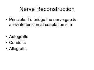 Nerve substitutes and advances in nerve reconstruction | PPT