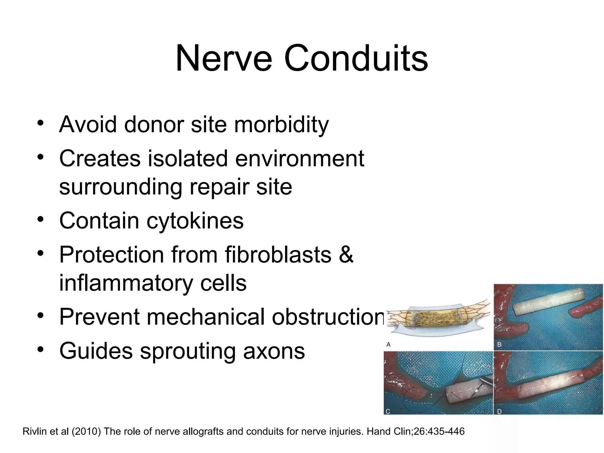 Nerve substitutes lecture | PPT