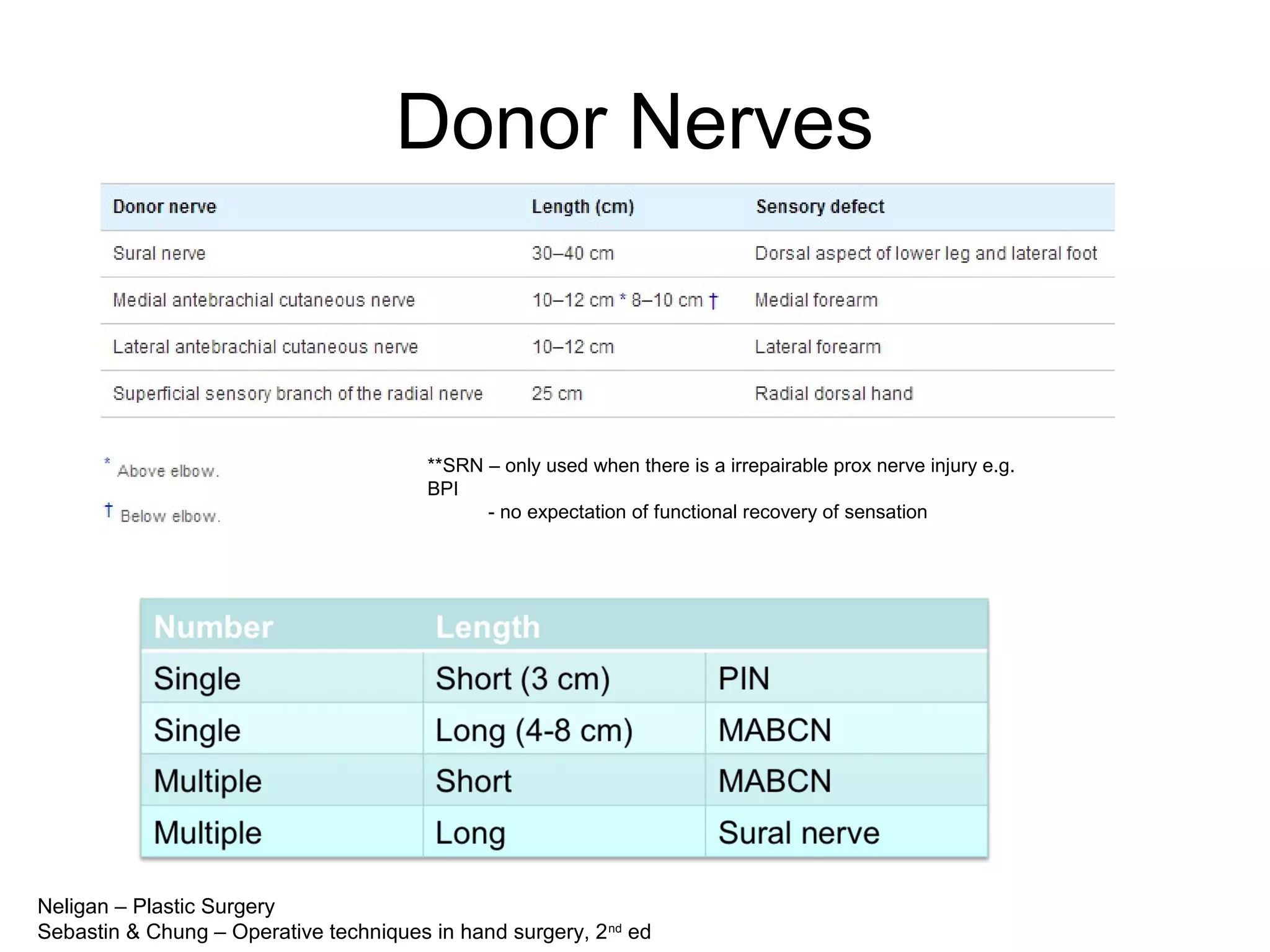 Nerve substitutes lecture | PPT