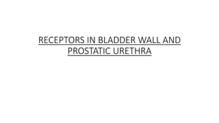 Nerve suply of bladder and physiology | PPT