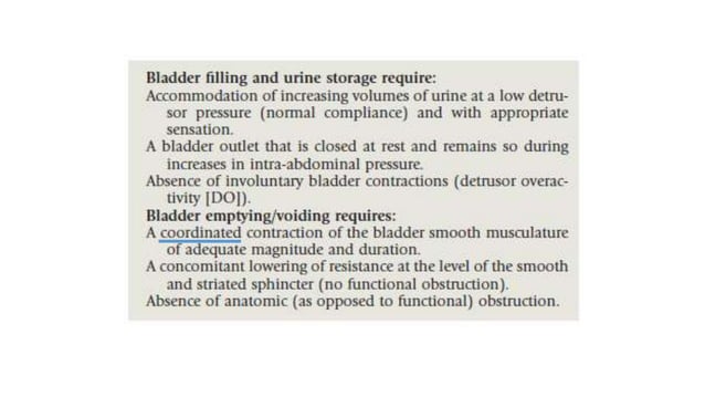 Nerve suply of bladder and physiology 2 | PPTX | Brain and Nervous ...