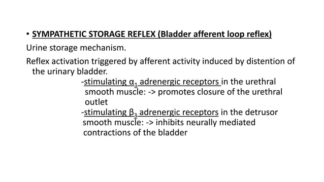 Nerve suply of bladder and physiology 2 | PPTX | Brain and Nervous ...