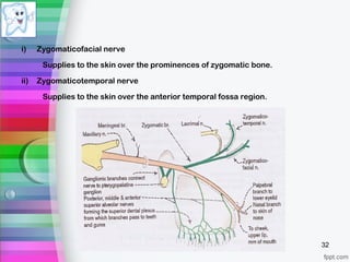 Cranial Nerves | PPT