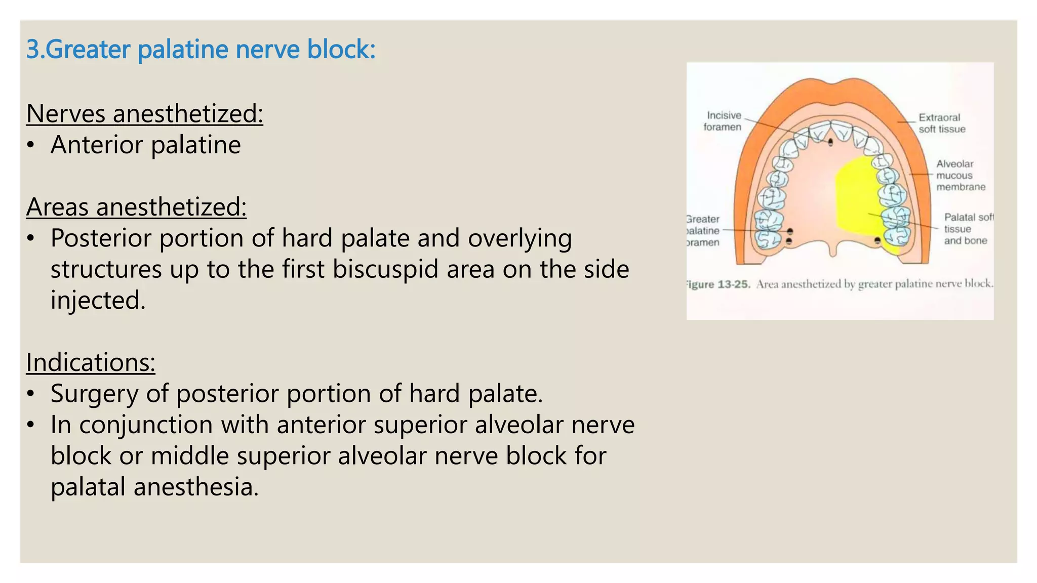 Nerve supply and anesthesia in maxillary arch.pptx