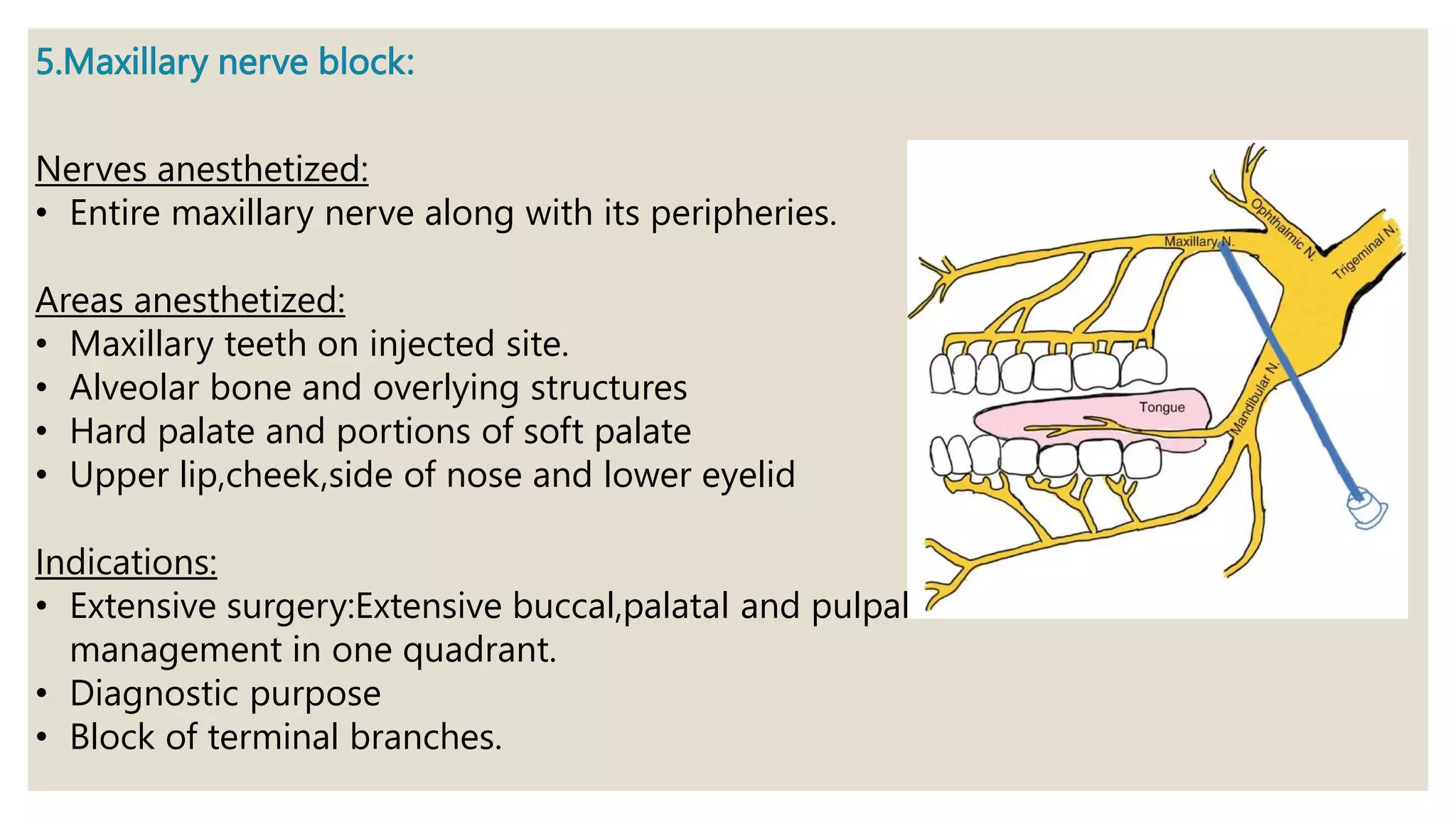 Nerve supply and anesthesia in maxillary arch.pptx