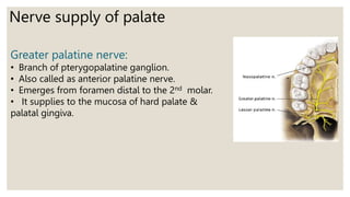 Nerve supply and anesthesia in maxillary arch.pptx