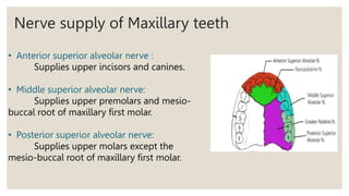 Nerve supply and anesthesia in maxillary arch.pptx
