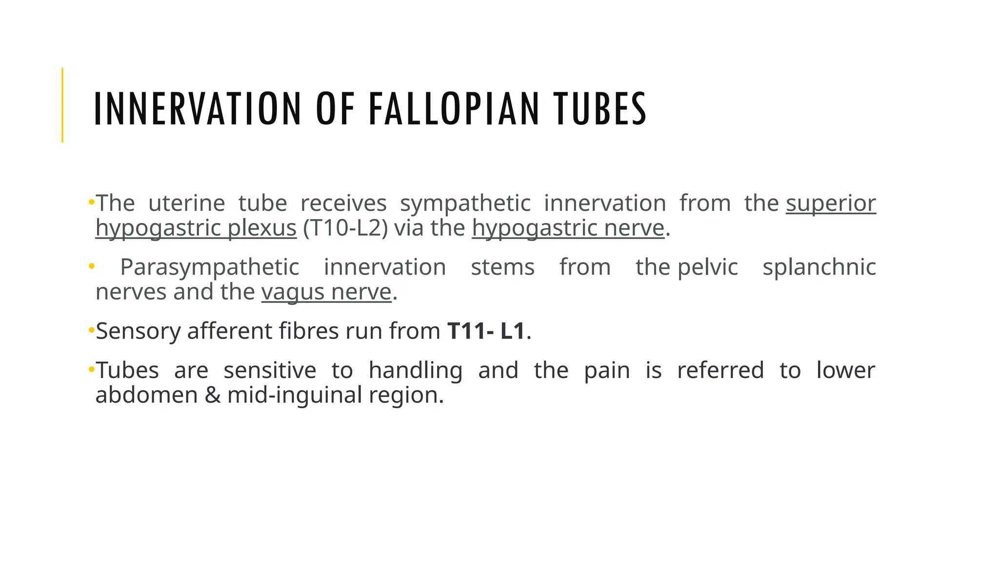Nerve Supply of female genital tract edited.pptx