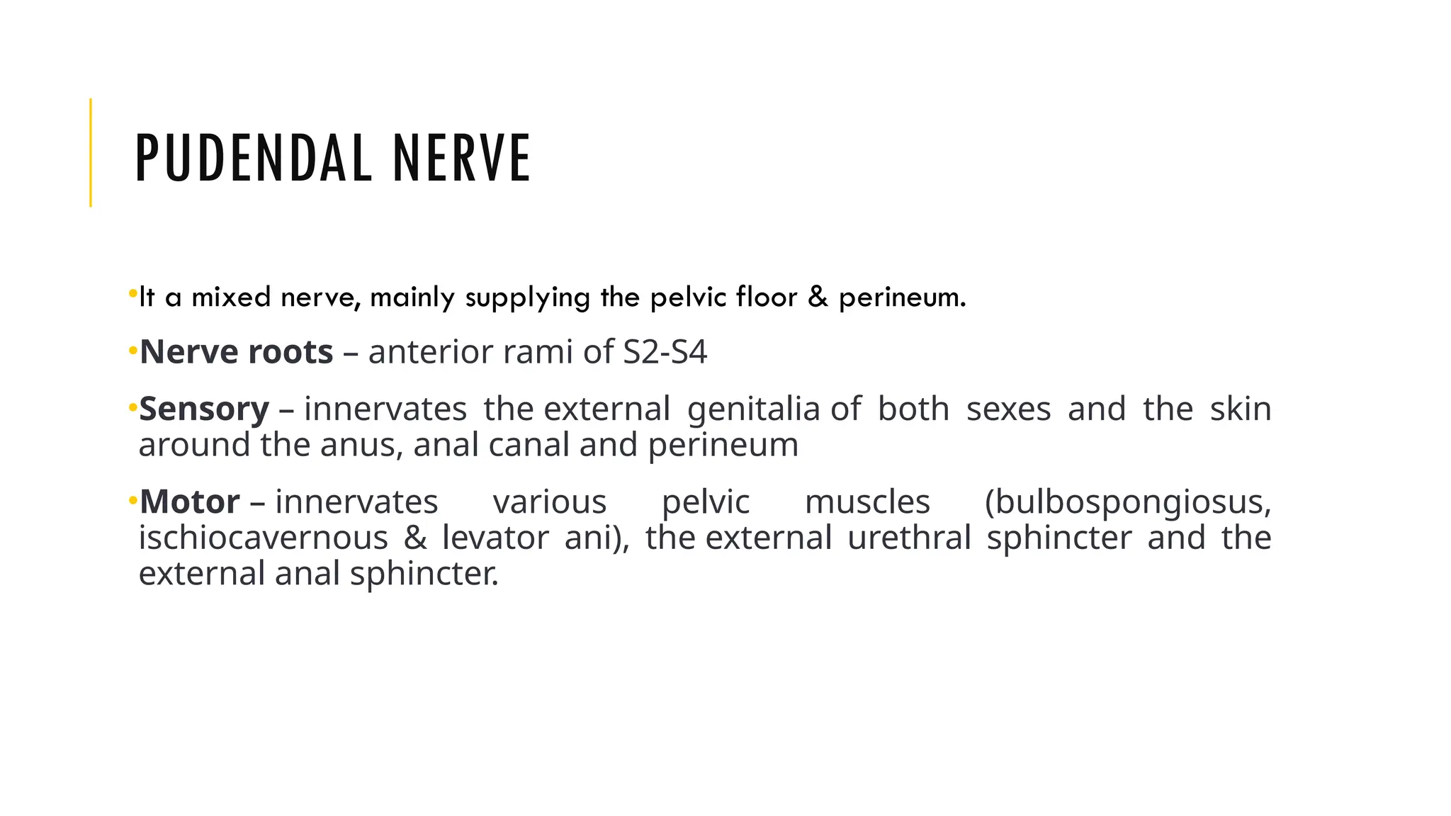 Nerve Supply of female genital tract edited.pptx