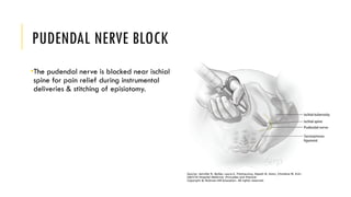 Nerve Supply of female genital tract edited.pptx