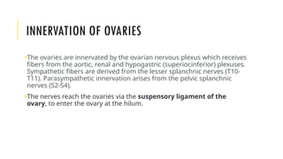 Nerve Supply of female genital tract edited.pptx