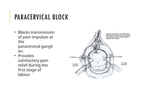 Nerve Supply of female genital tract edited.pptx