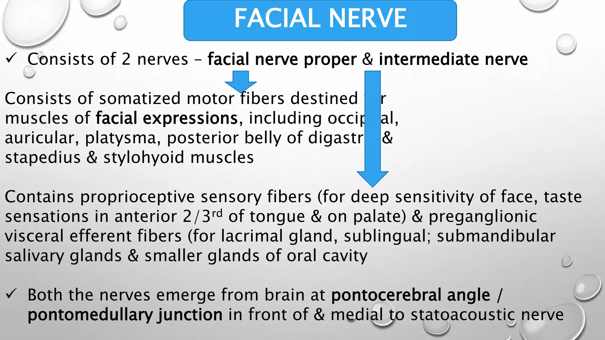 Nerve supply of head and neck | PPTX