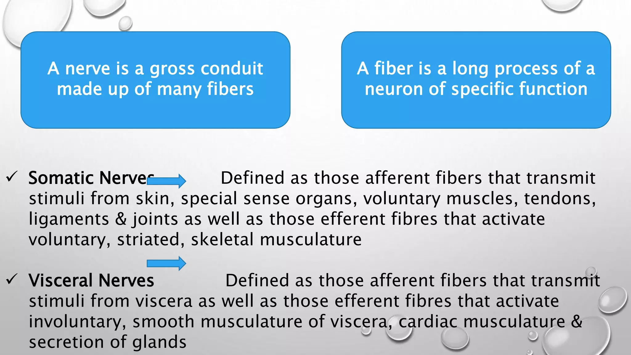 Nerve supply of head and neck | PPTX