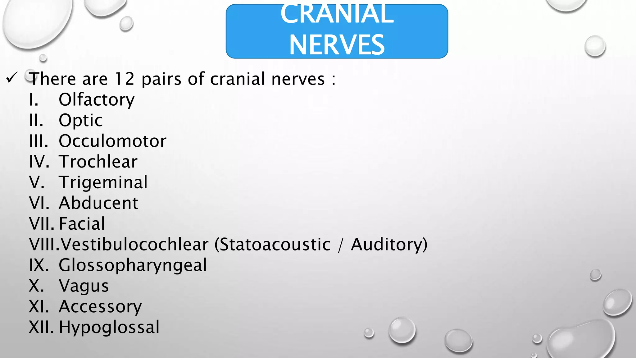 Nerve supply of head and neck | PPTX