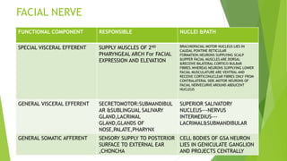 Nerve supply of head and neck | PPTX