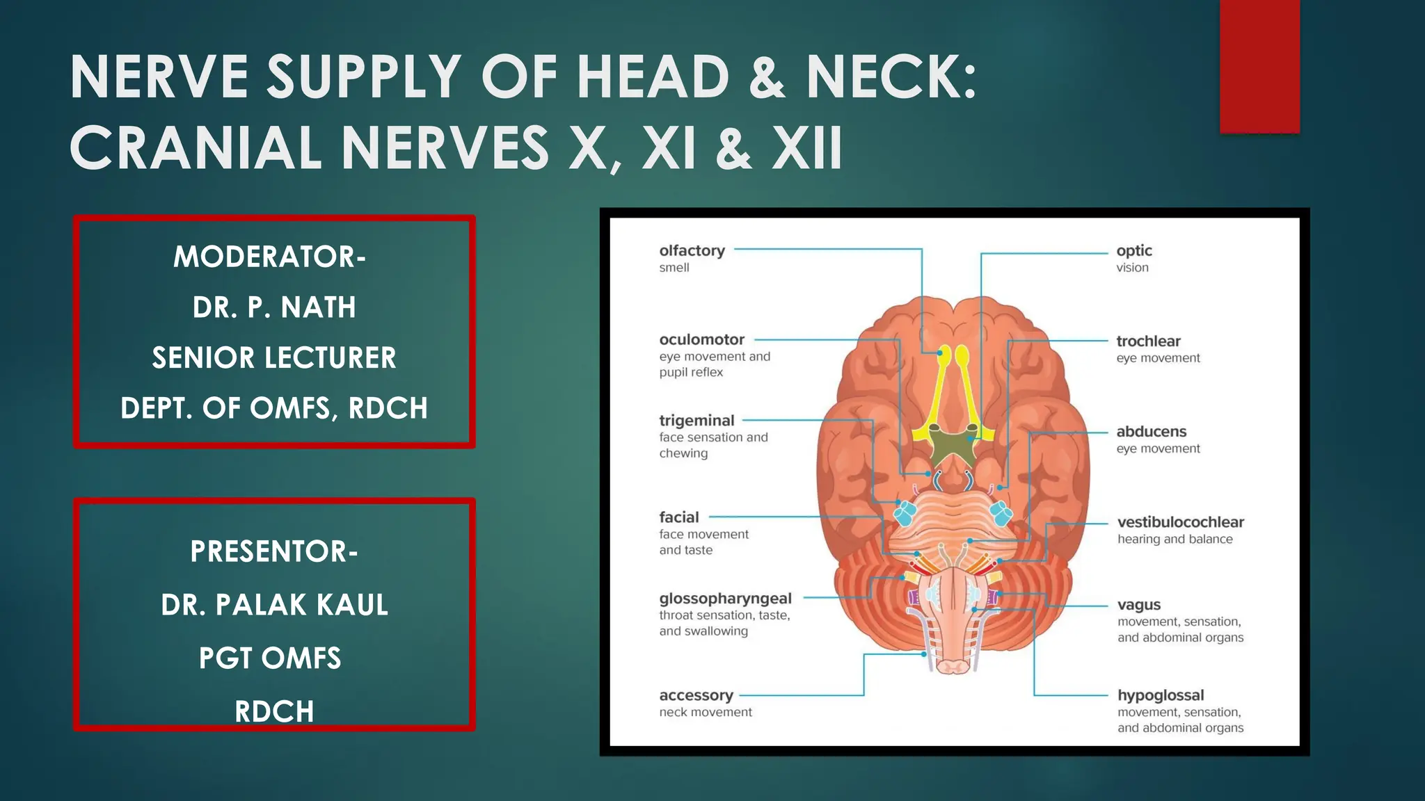 NERVE SUPPLY OF HEAD AND NECK (Vagus, Accessory and Hypoglossal nerve).pptx