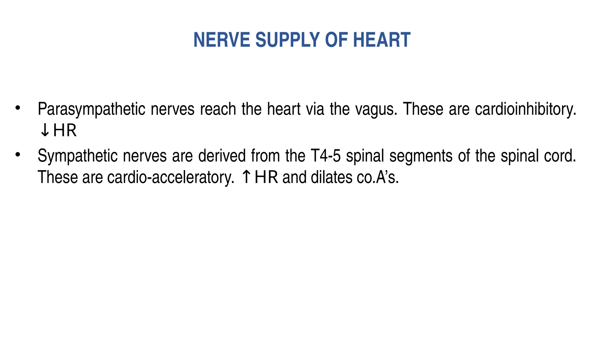the nerve supply of the human heart with clinical applied | PPTX