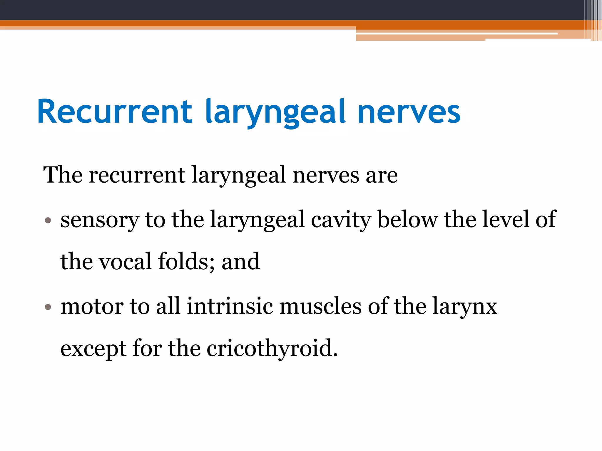 Nerve supply of larynx & laryngeal paralysis | PPTX | Death, Injury, or ...