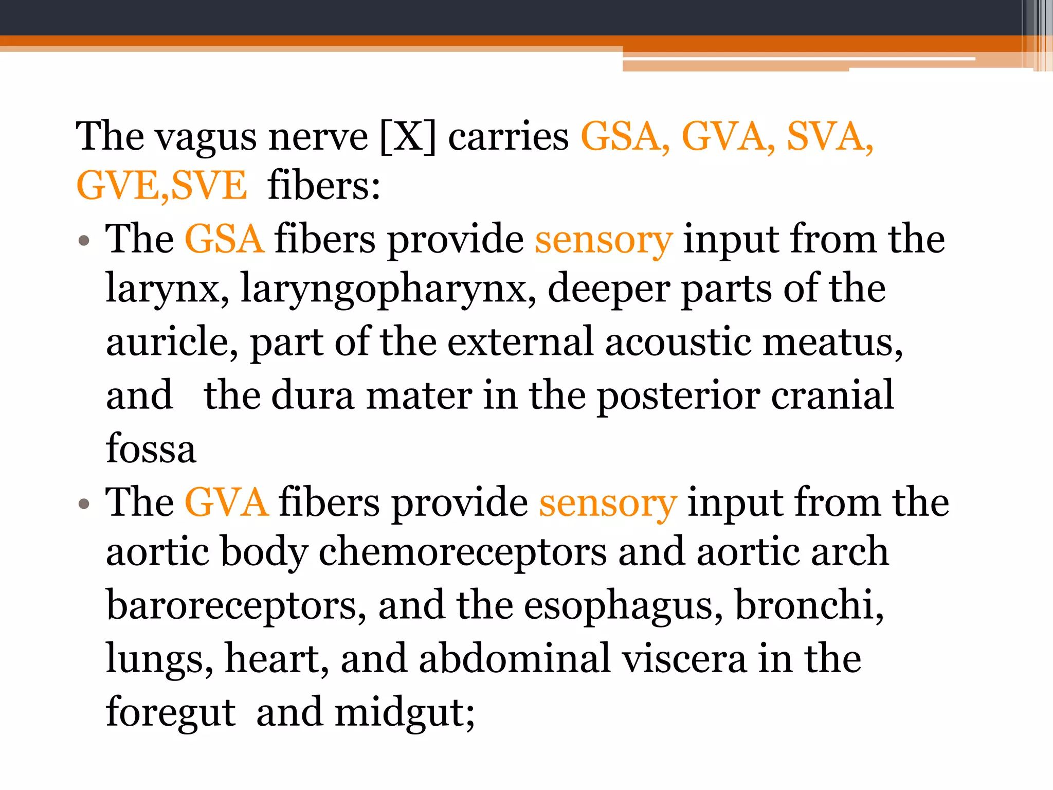 Nerve supply of larynx & laryngeal paralysis | PPTX