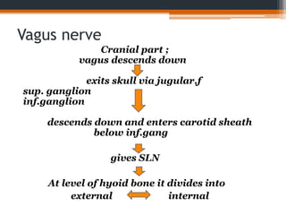 Nerve supply of larynx & laryngeal paralysis | PPTX