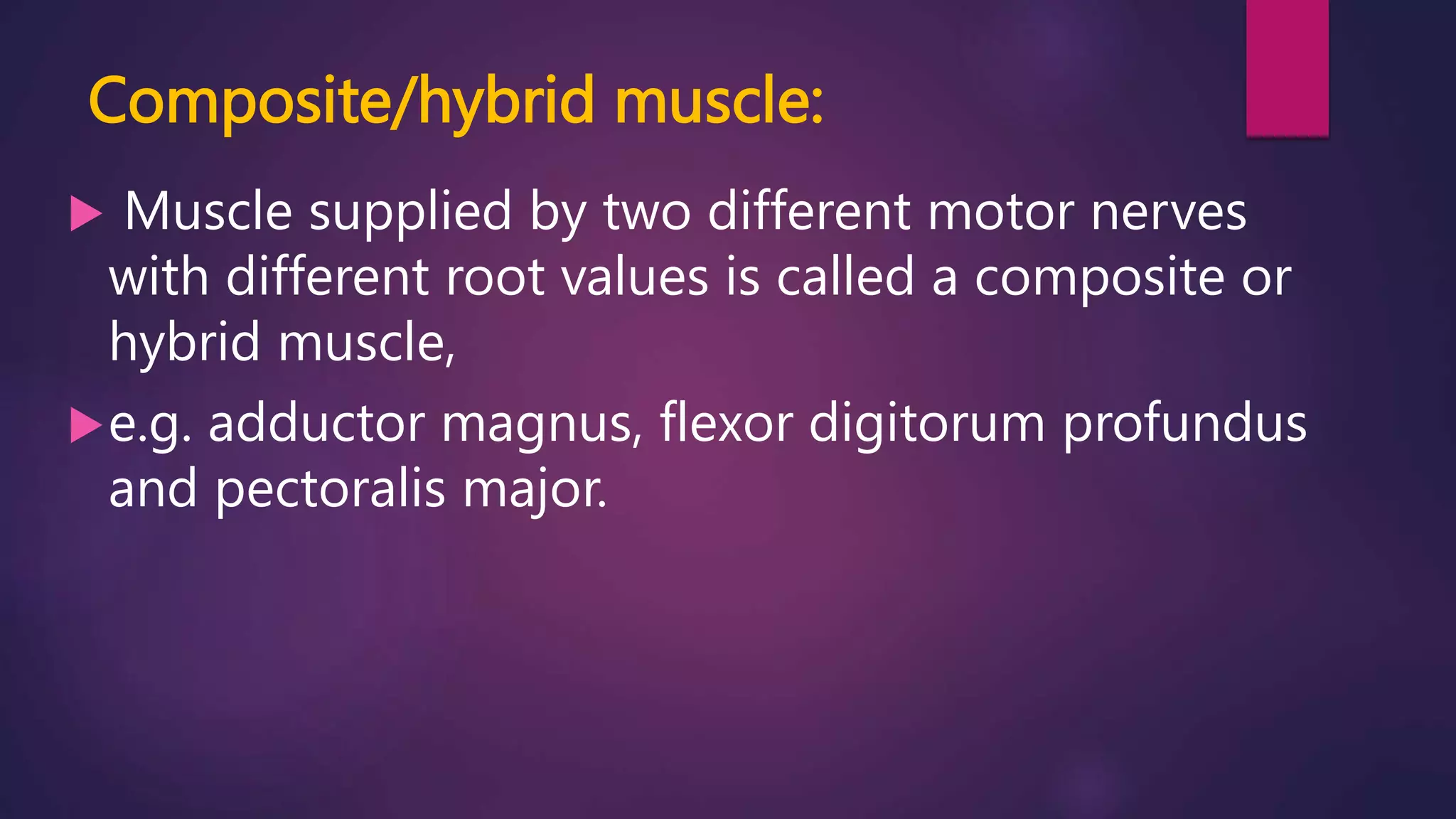 Nerve supply of smooth and skeltal muscle.pptx