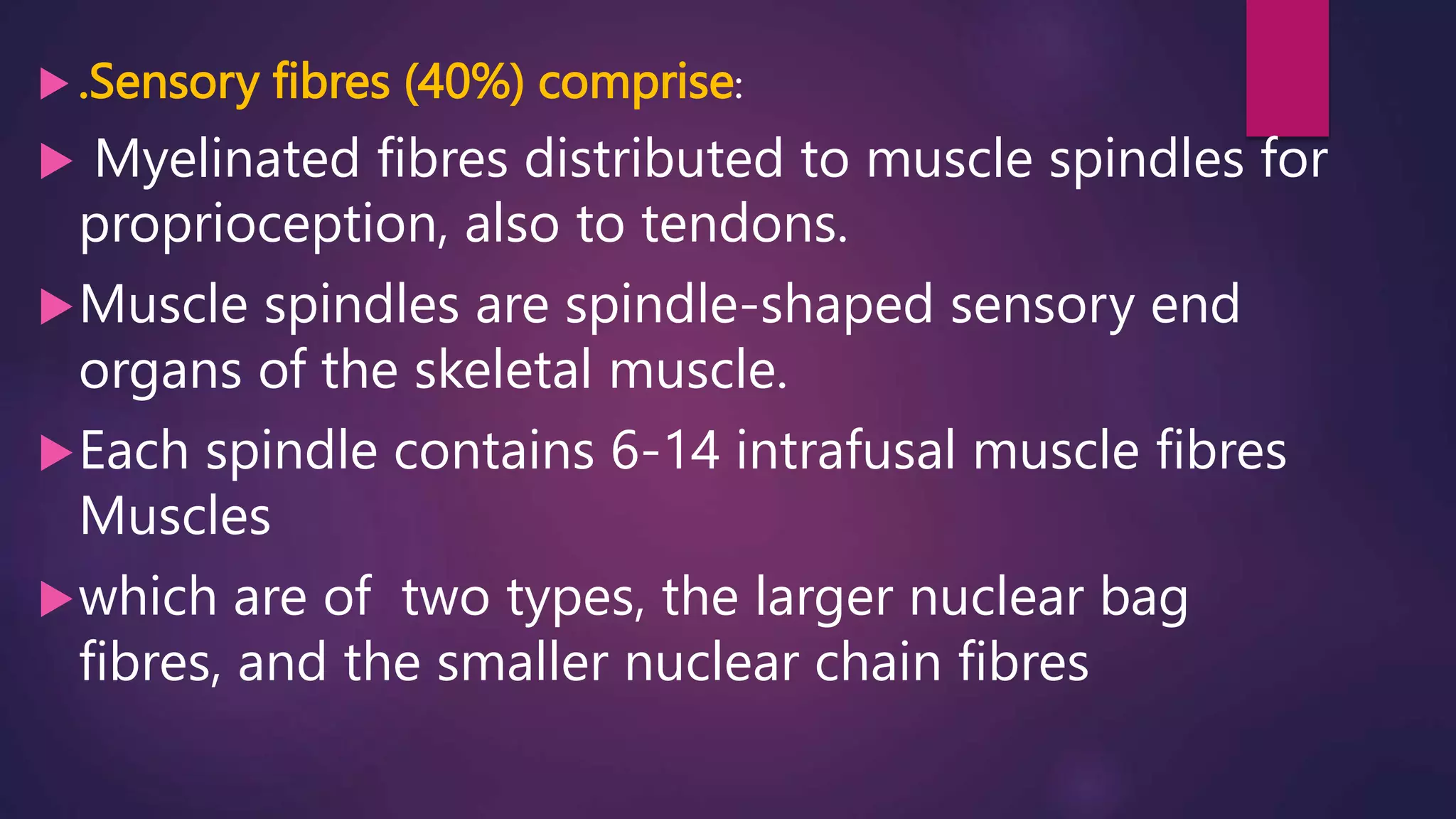 Nerve supply of smooth and skeltal muscle.pptx