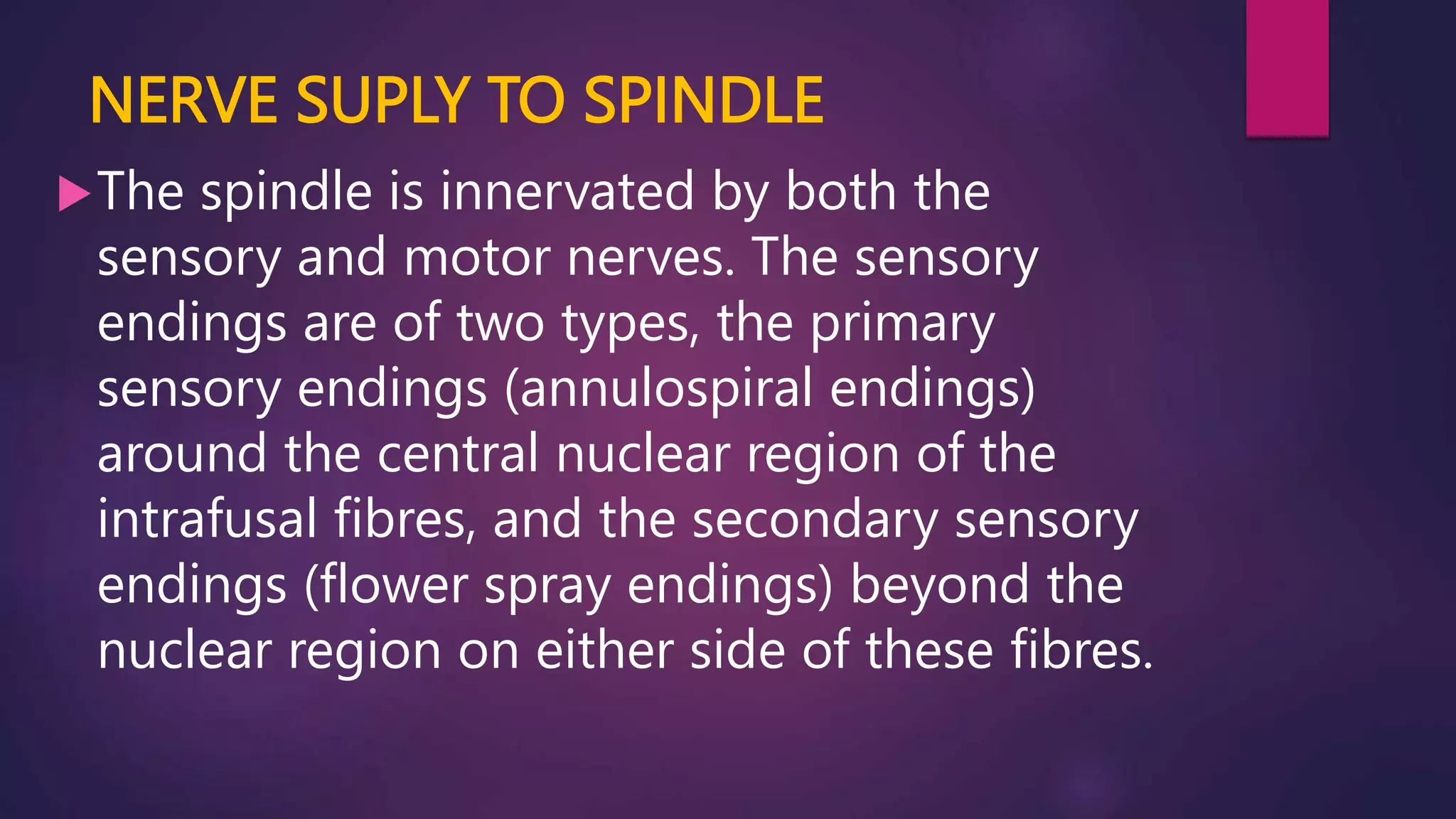 Nerve supply of smooth and skeltal muscle.pptx