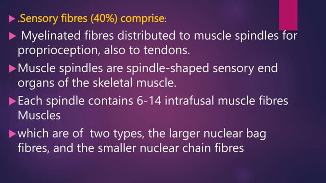 Nerve supply of smooth and skeltal muscle.pptx