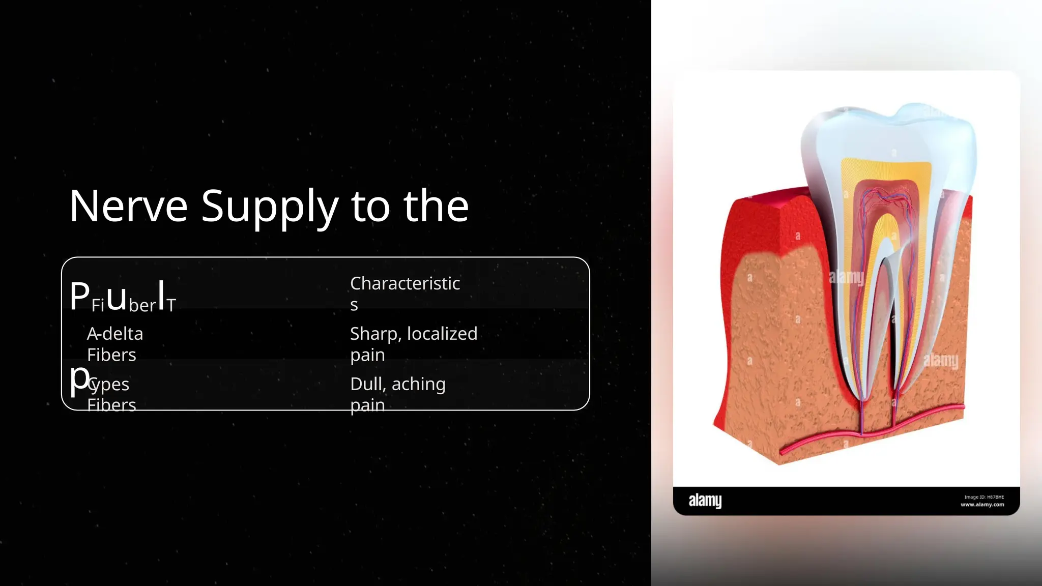 Nerve supply of teeth dental histology dental anatomy.pptx