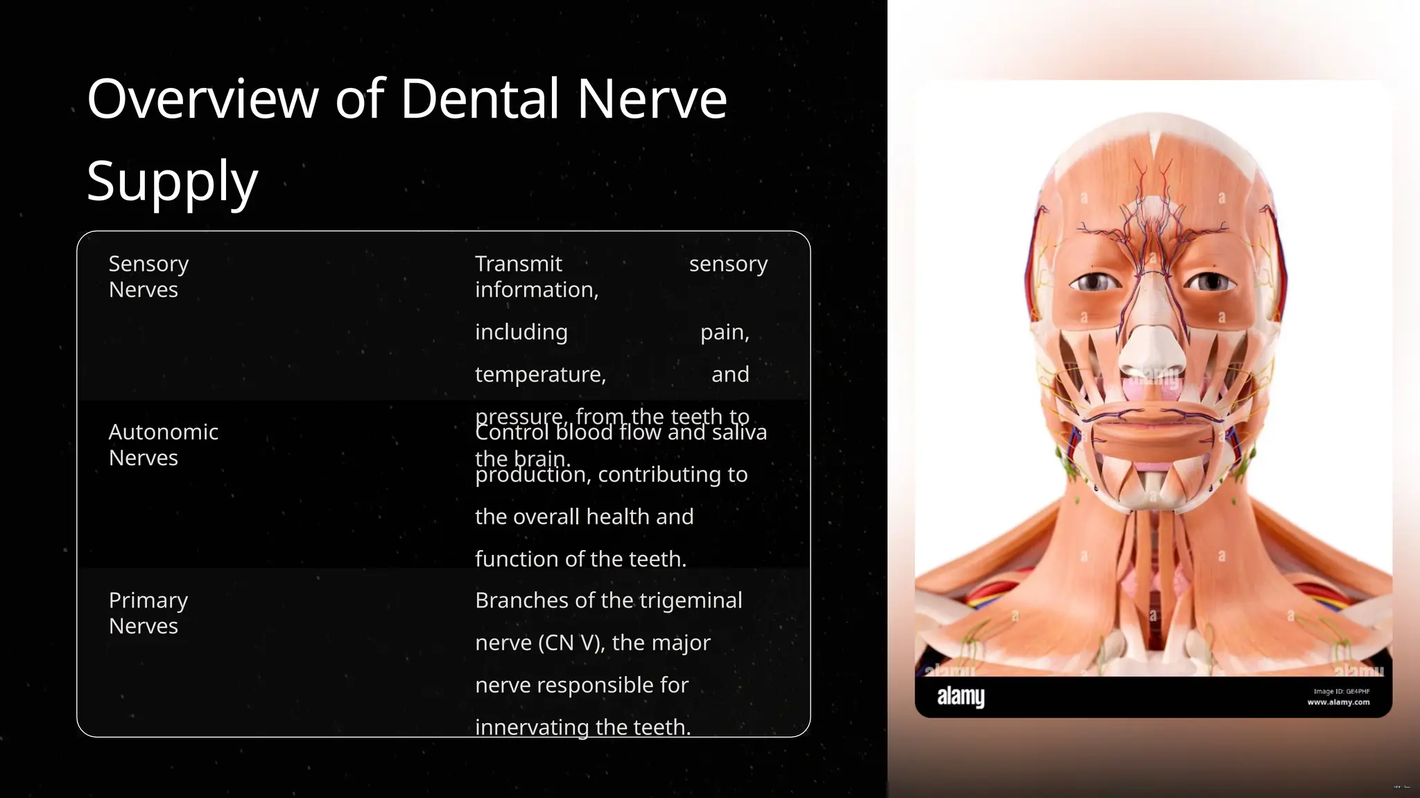 Nerve supply of teeth dental histology dental anatomy.pptx