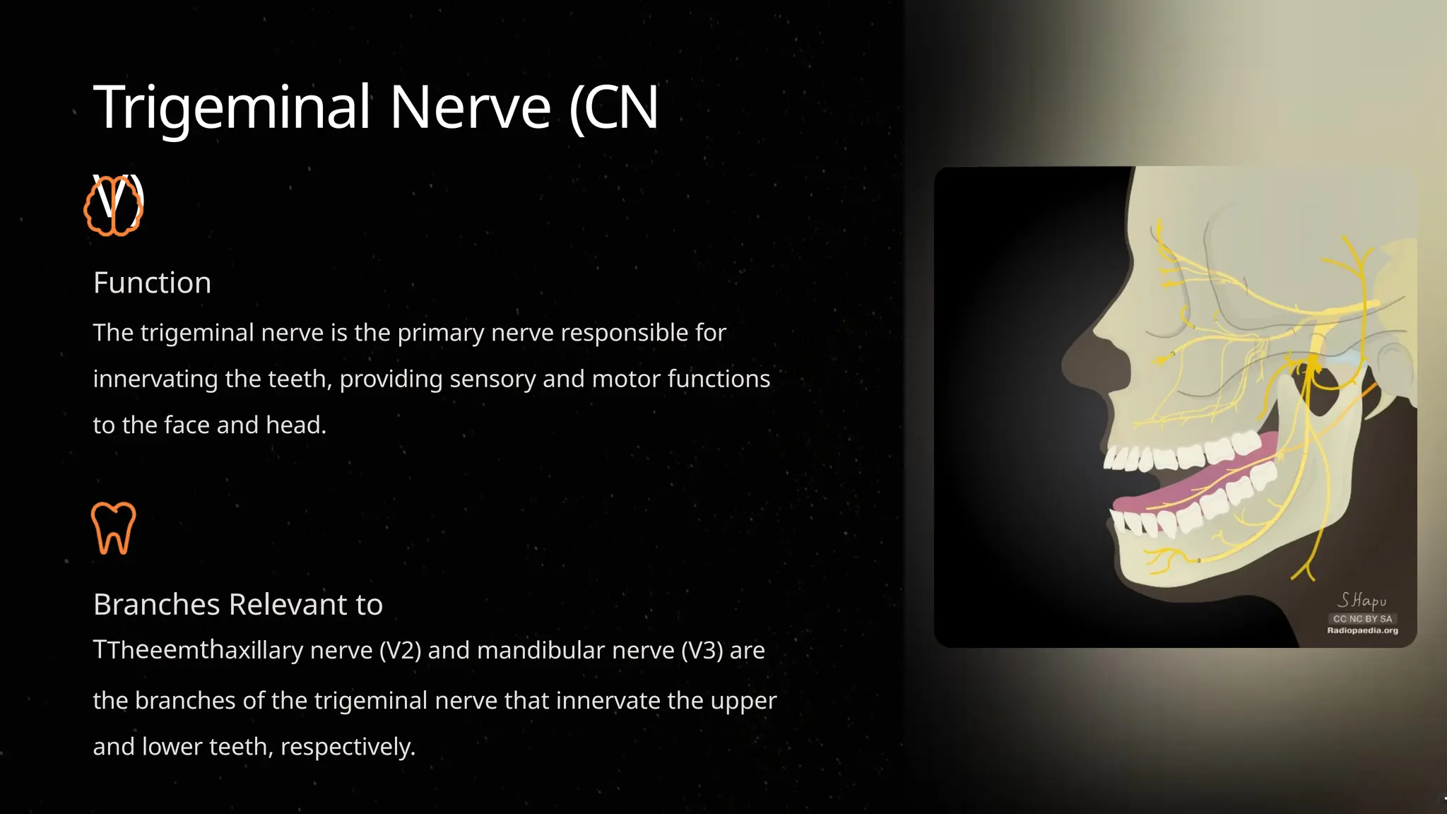 Nerve supply of teeth dental histology dental anatomy.pptx