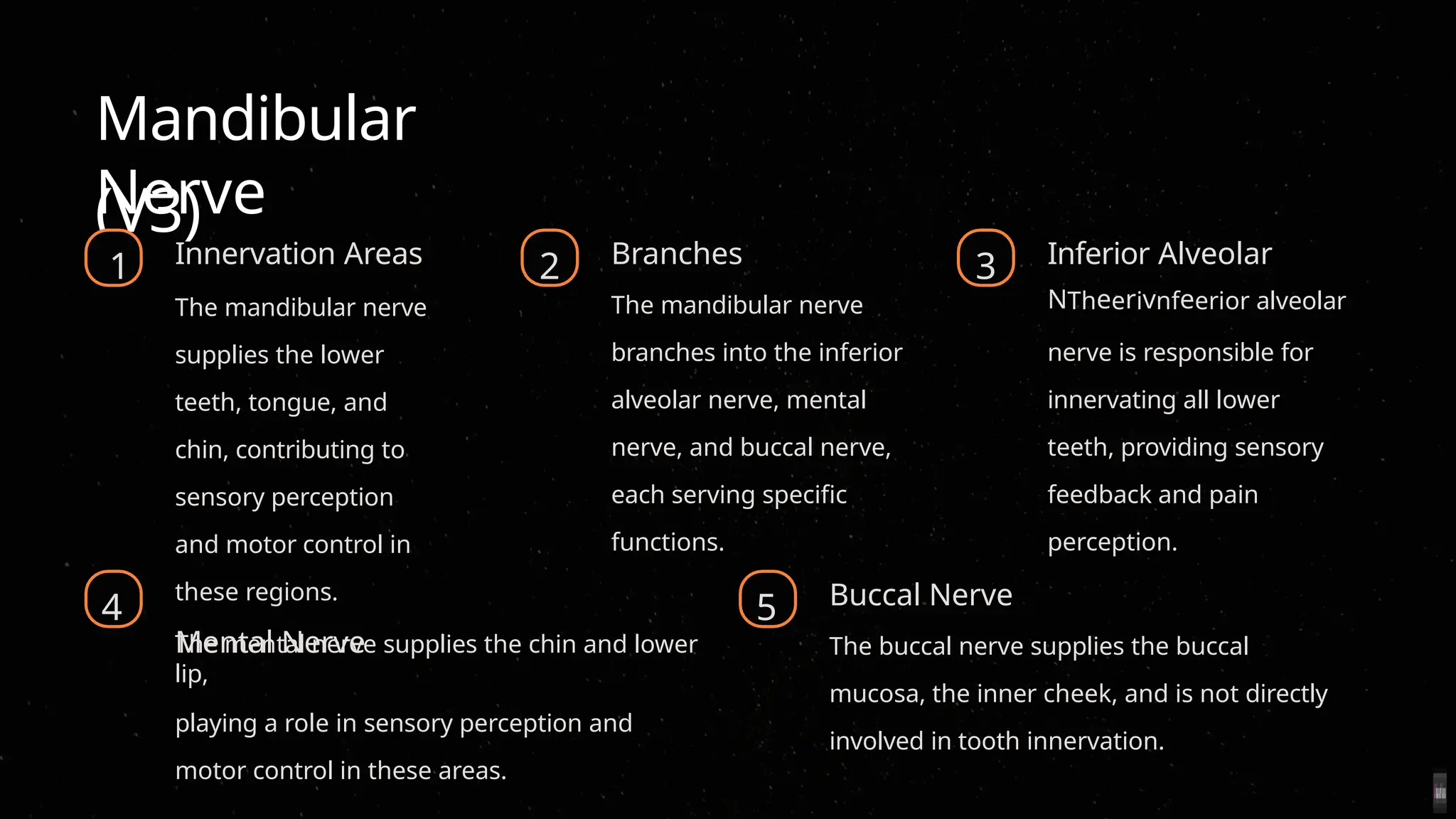 Nerve supply of teeth dental histology dental anatomy.pptx