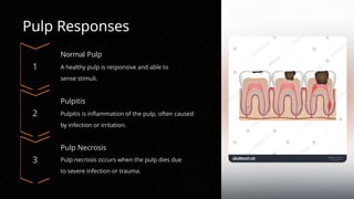 Nerve supply of teeth dental histology dental anatomy.pptx
