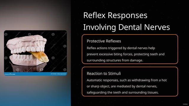 Nerve supply of teeth dental histology dental anatomy.pptx