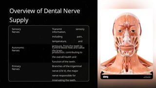Nerve supply of teeth dental histology dental anatomy.pptx